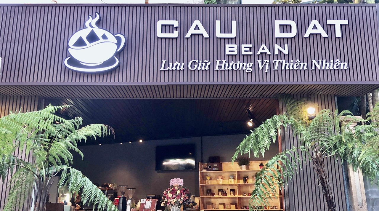Cau Dat Bean MTV Company LimitedDat