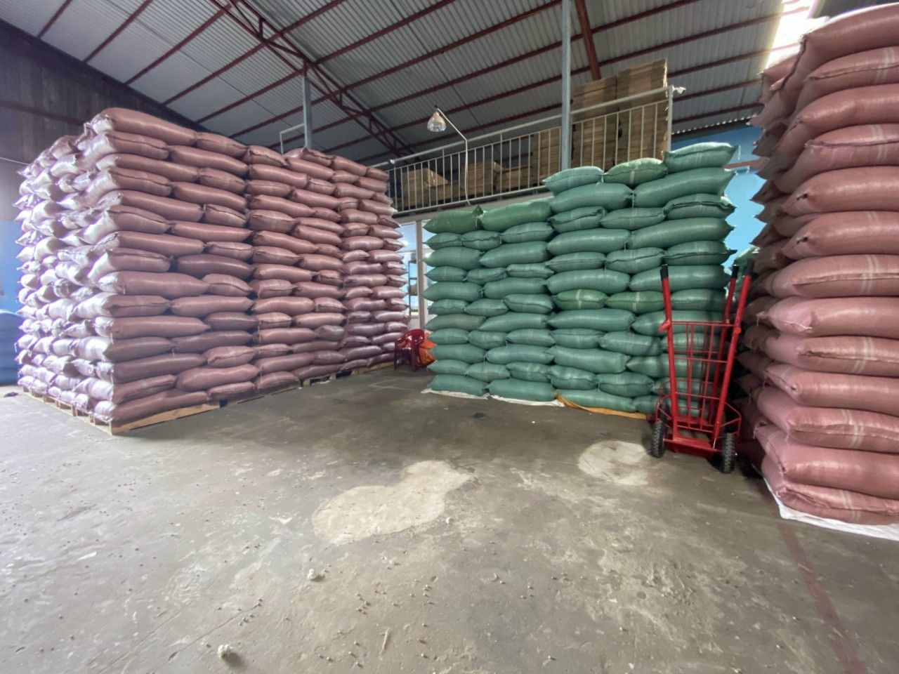 The coffee harvest has finished in Cau Dat Bean Coffee Company