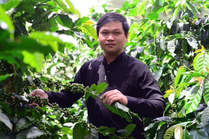 Chàng trai 8x lên phố núi Đà Lạt liên kết với các nông hộ trồng 100ha